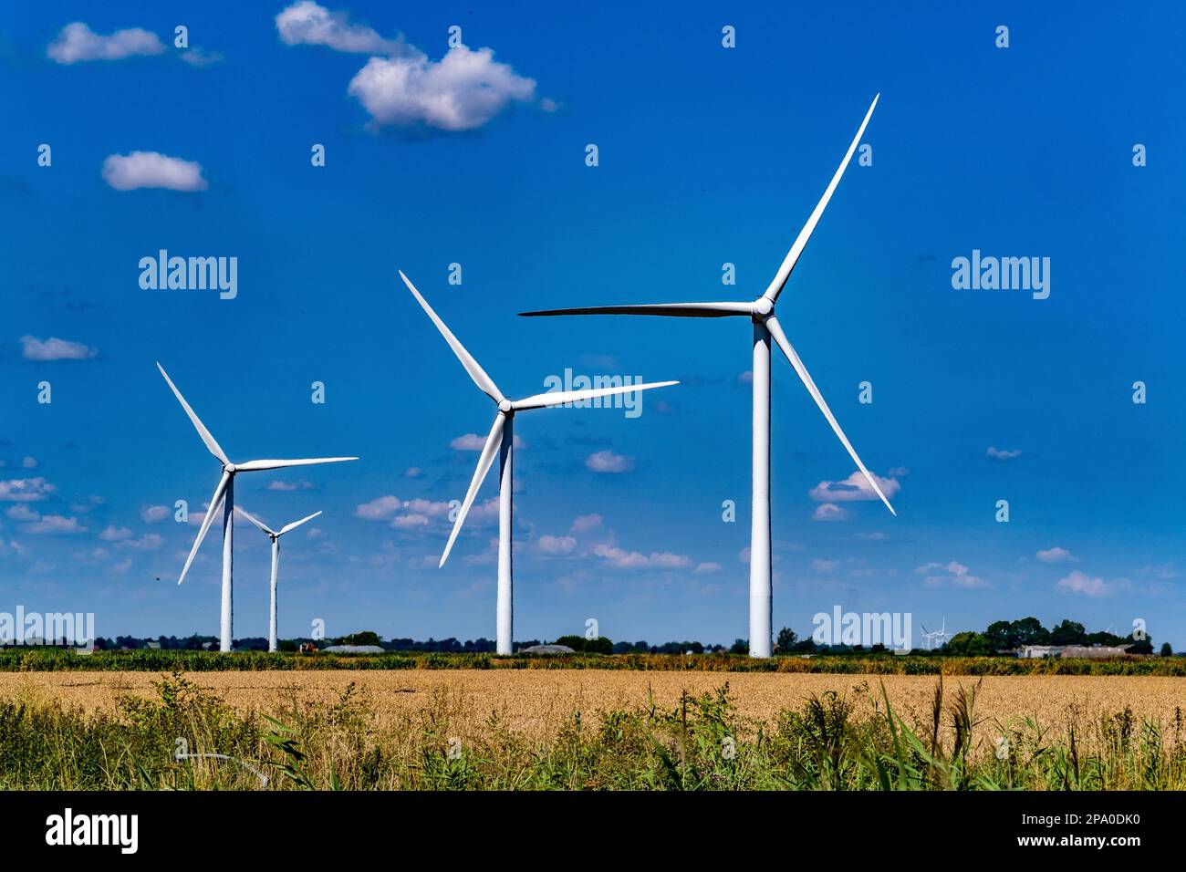 On shore British Windfarm Red tile Stock Photo - Alamy