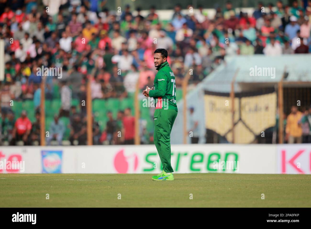 Tiger curran hi-res stock photography and images - Alamy