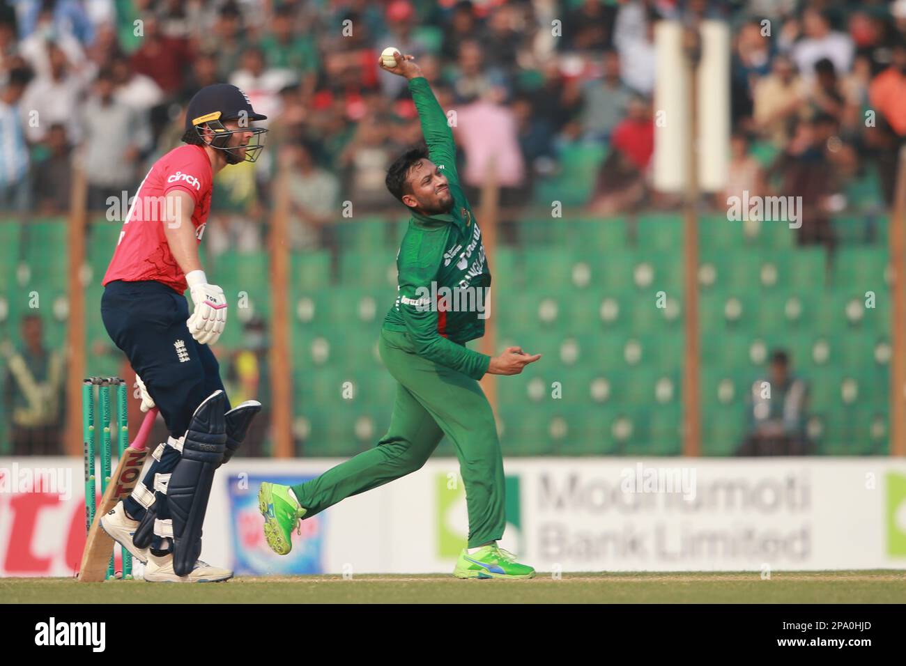 Tiger curran hi-res stock photography and images - Alamy