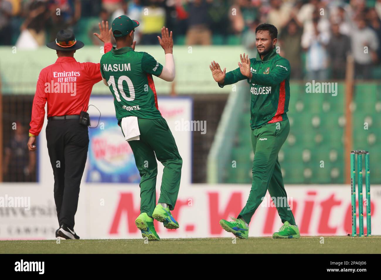 Tiger curran hi-res stock photography and images - Alamy