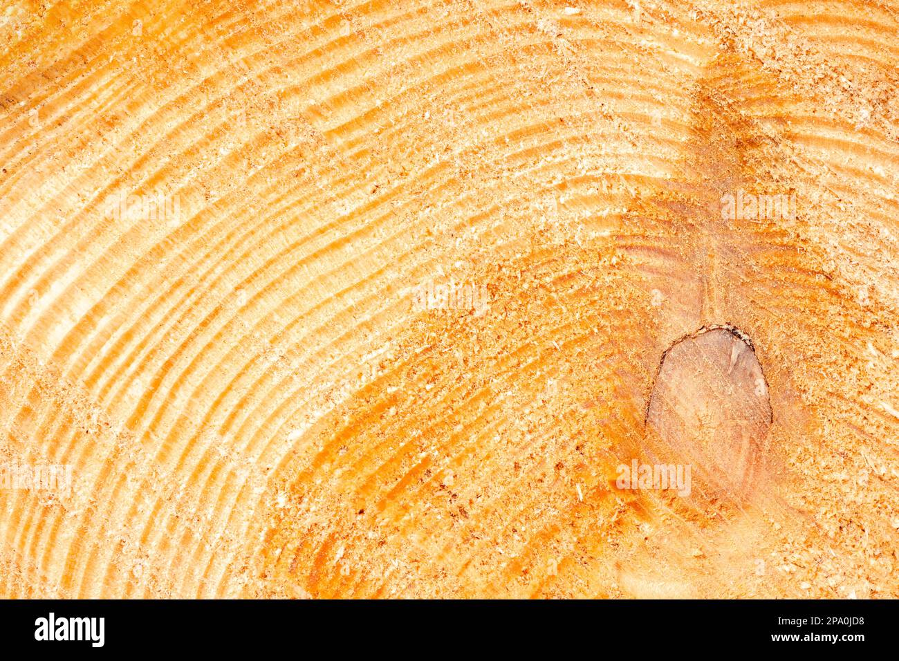Cross section of banner hi-res stock photography and images - Alamy