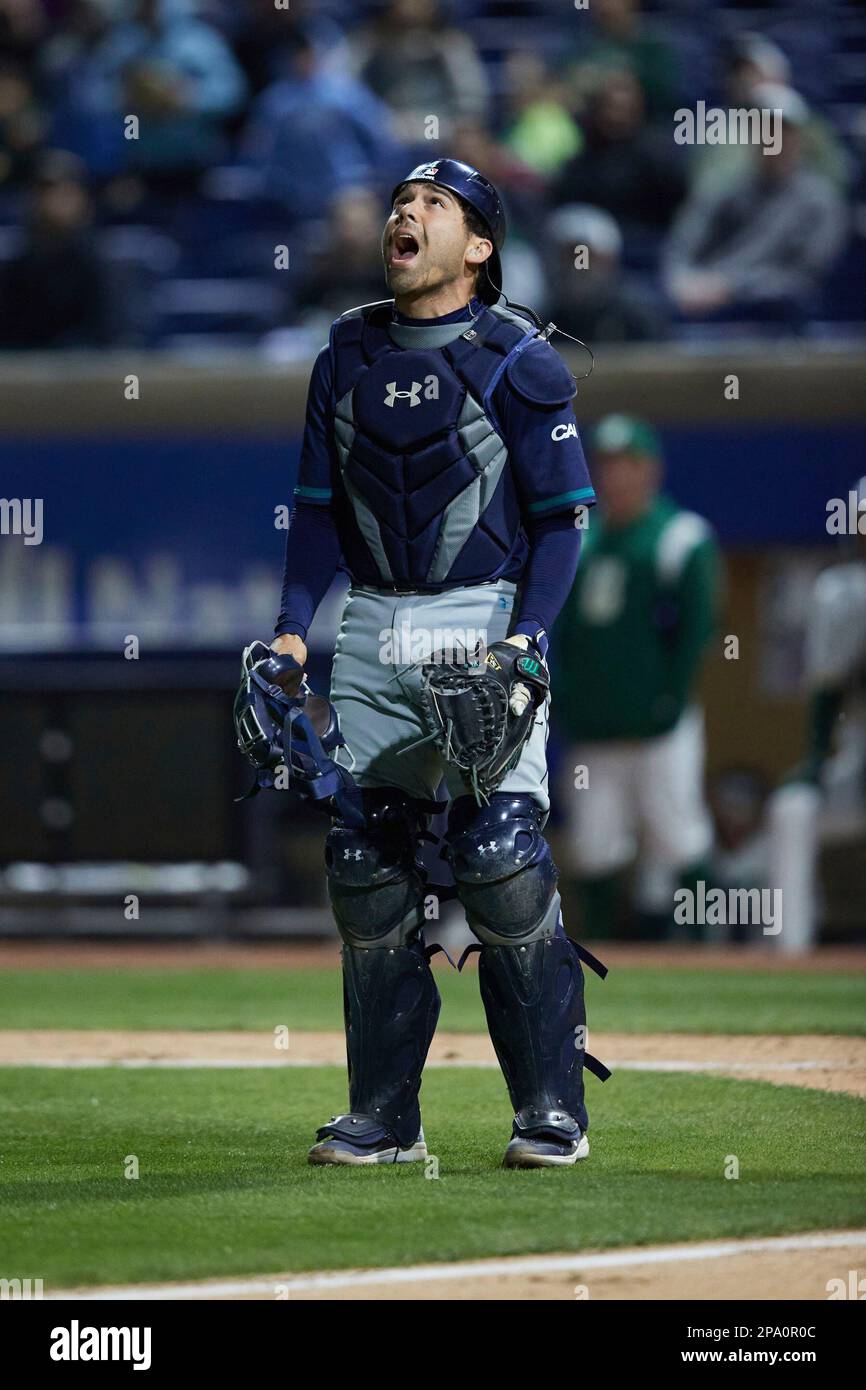 UNCW Seahawks catcher Kevin Pitarra (4) tracks a pop fly during the ...