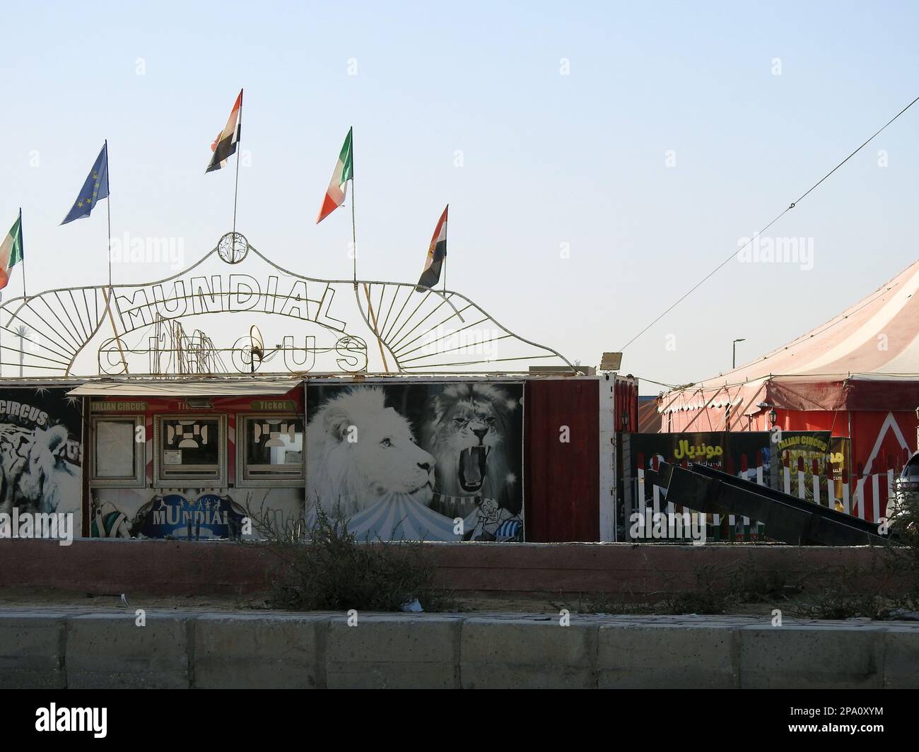 Mundial animal hi-res stock photography and images - Alamy