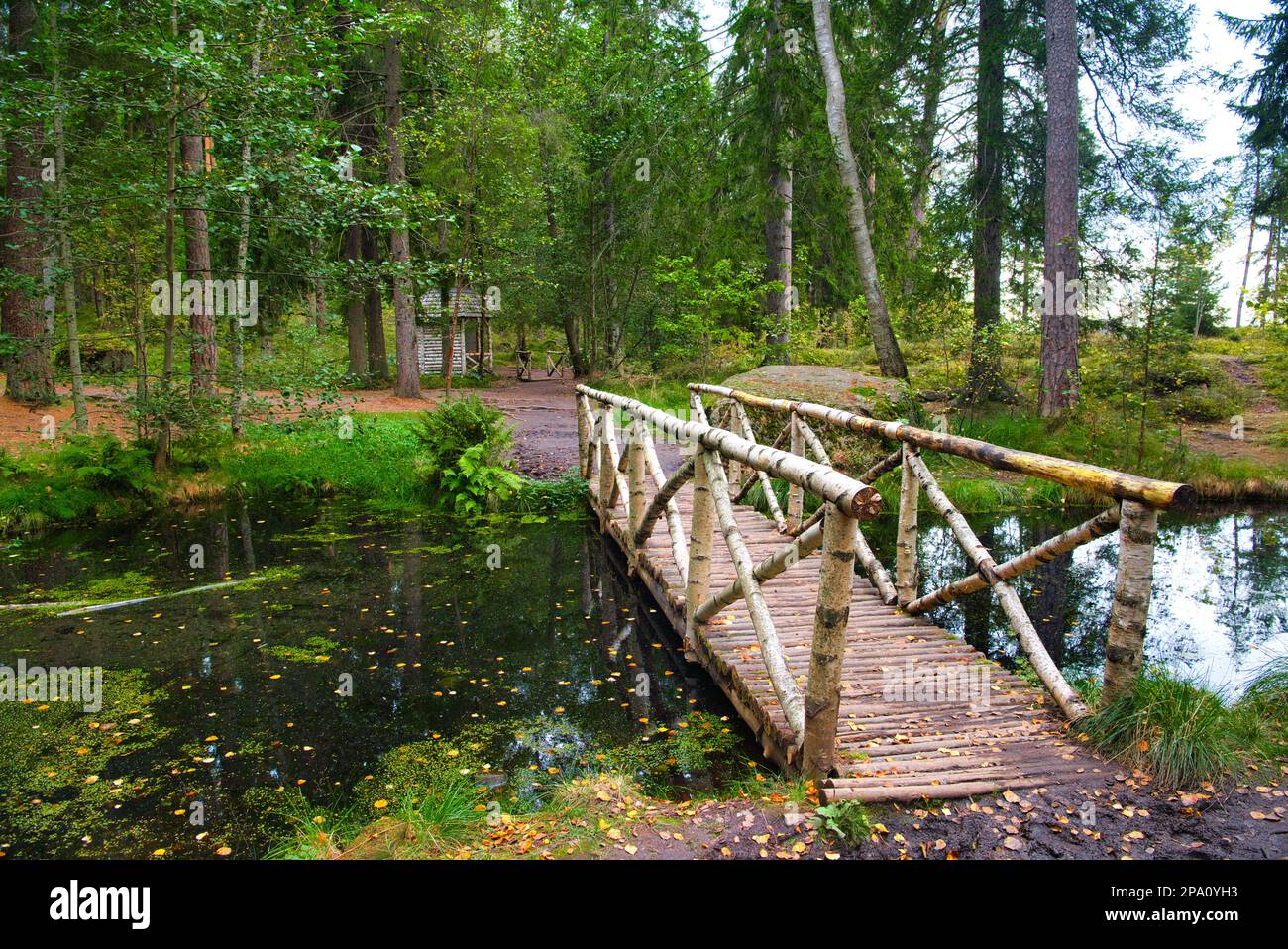 Birch small bridge in the forest, Park Mon Repos, Vyborg, Russia Stock ...