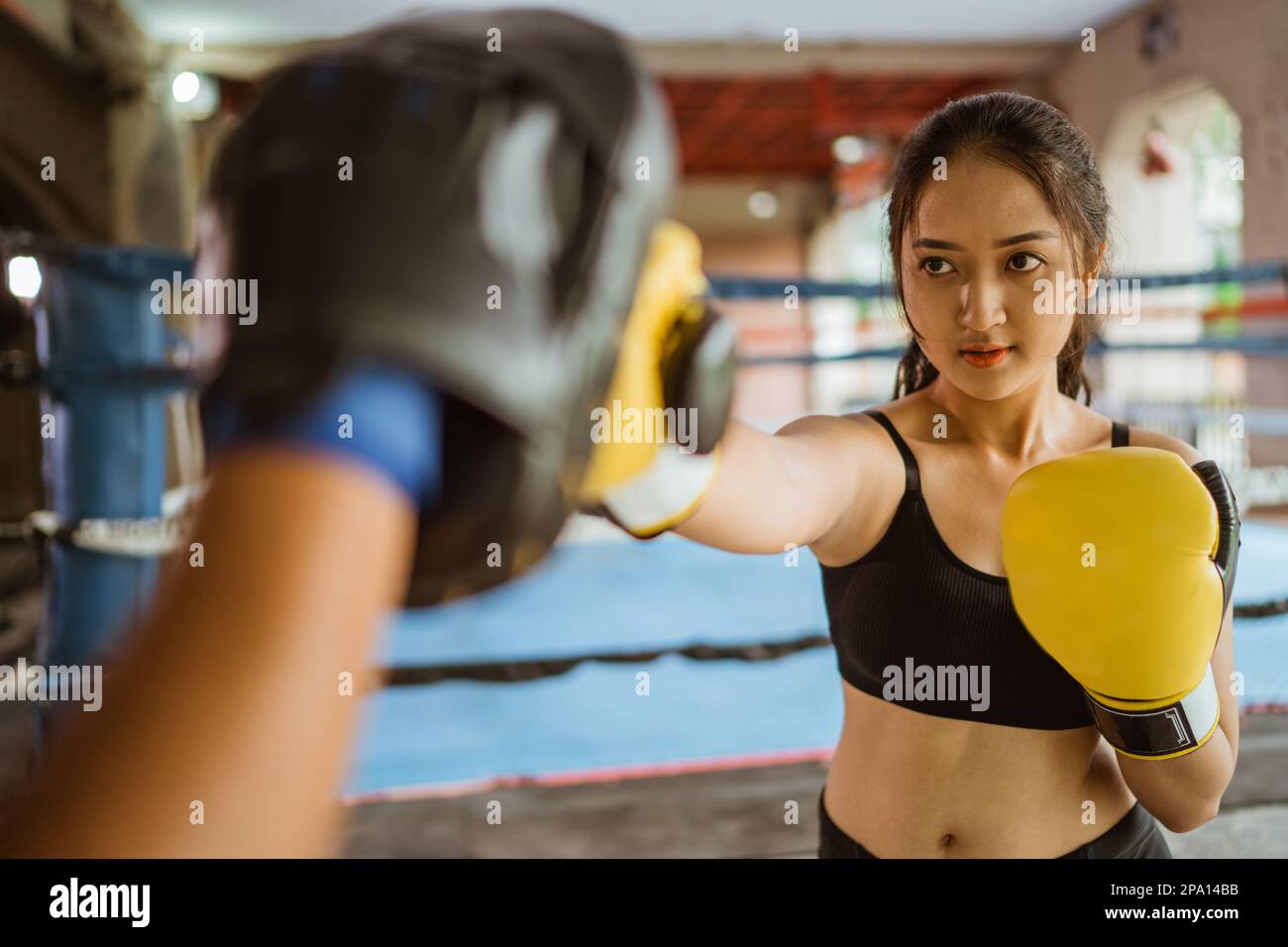 a beautiful boxer punching the pad while training Stock Photo - Alamy