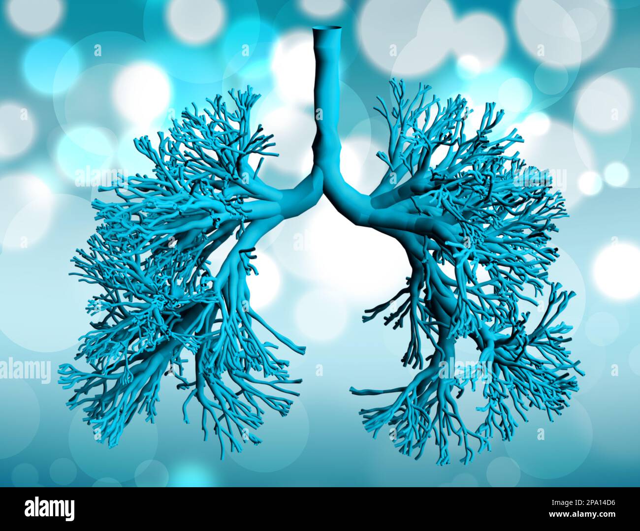 Abstract silhouette of human lungs on color background, illustration ...