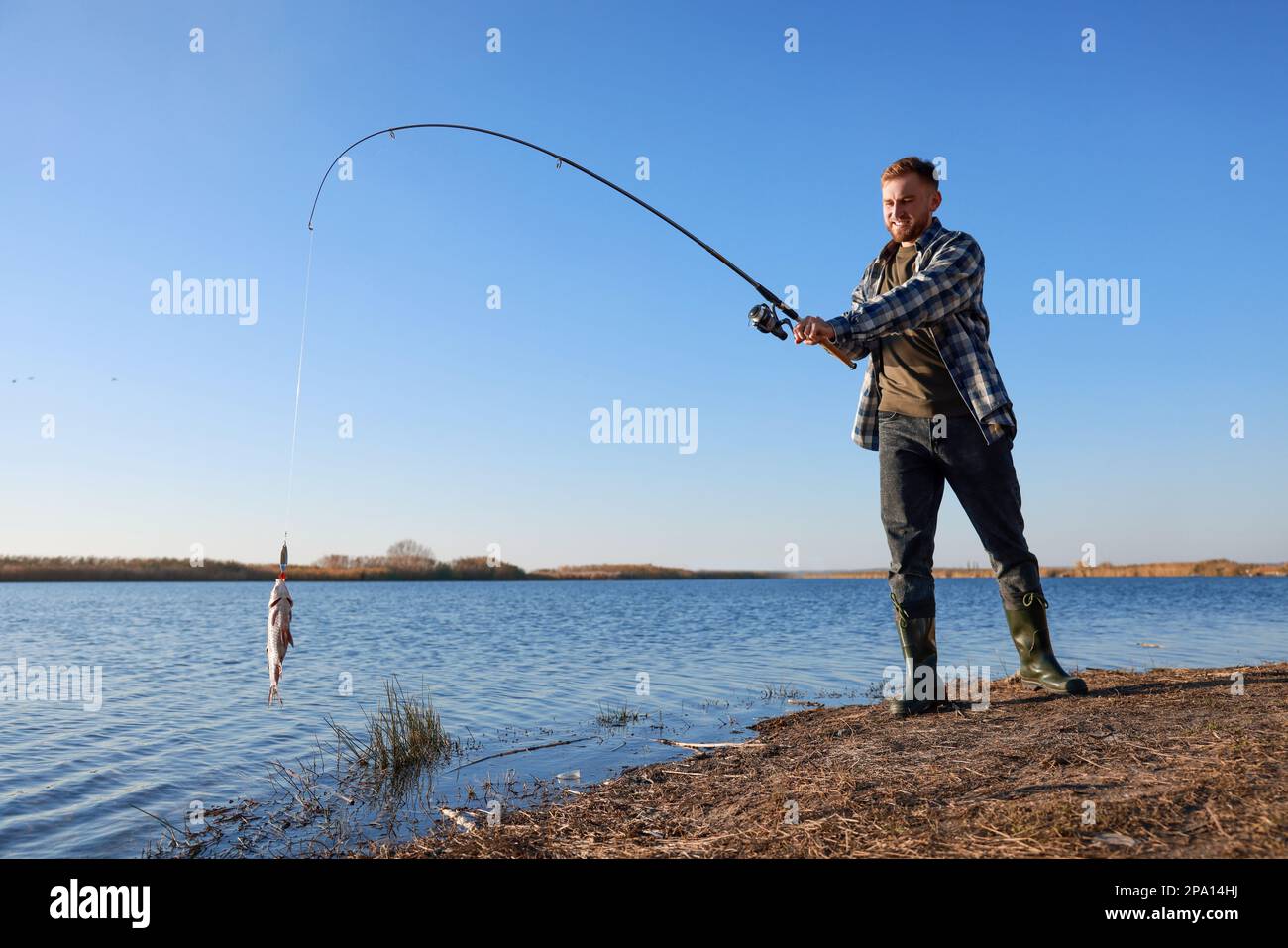 Fisherman catching fish with rod at riverside Stock Photo - Alamy