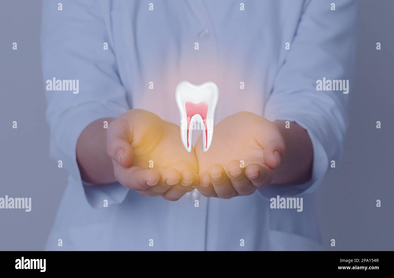 Dentist showing virtual model of tooth on grey background, closeup ...
