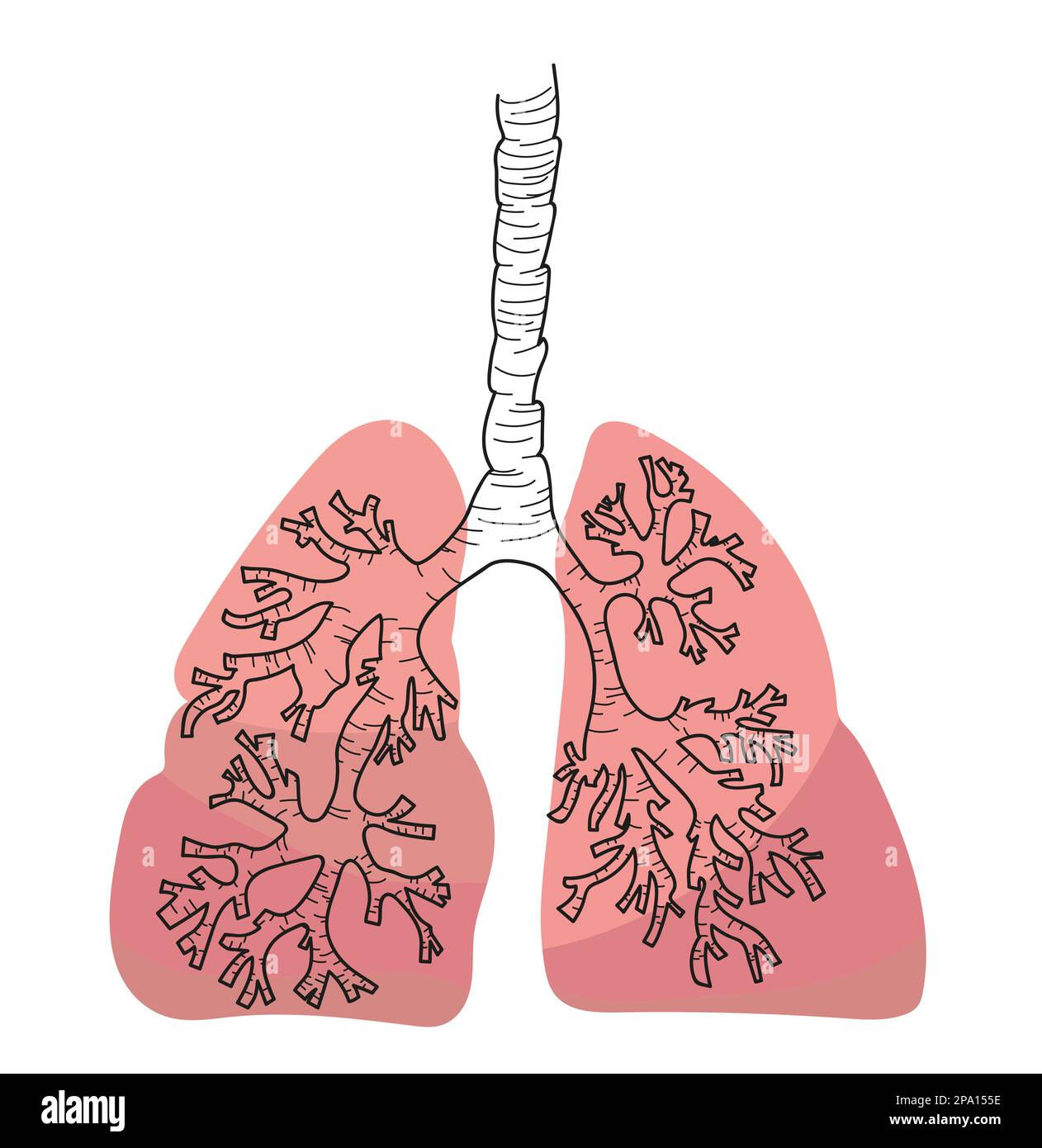 Minimalist human sketch Cut Out Stock Images & Pictures - Alamy