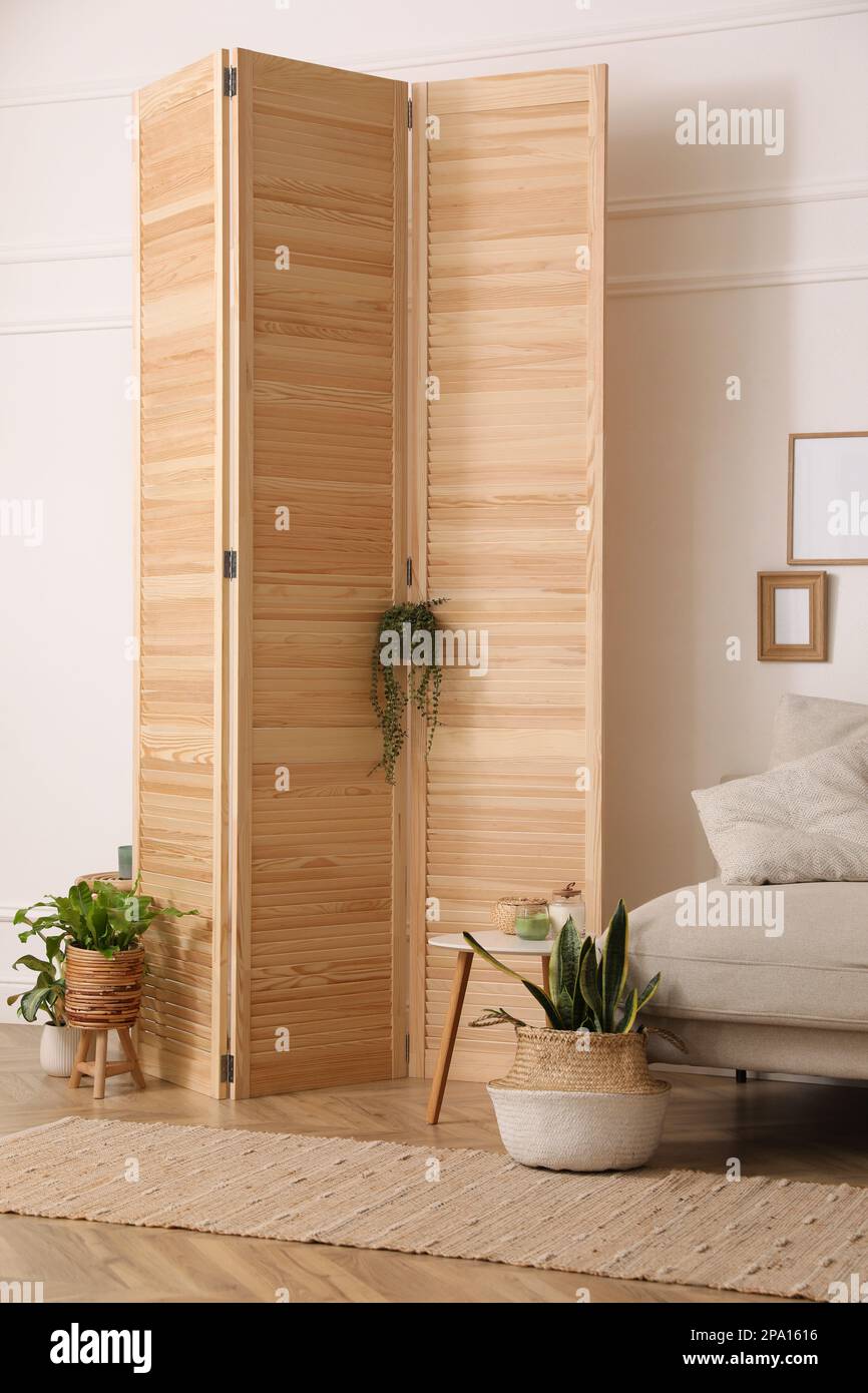 Folding screen and beautiful houseplants near white wall in room ...