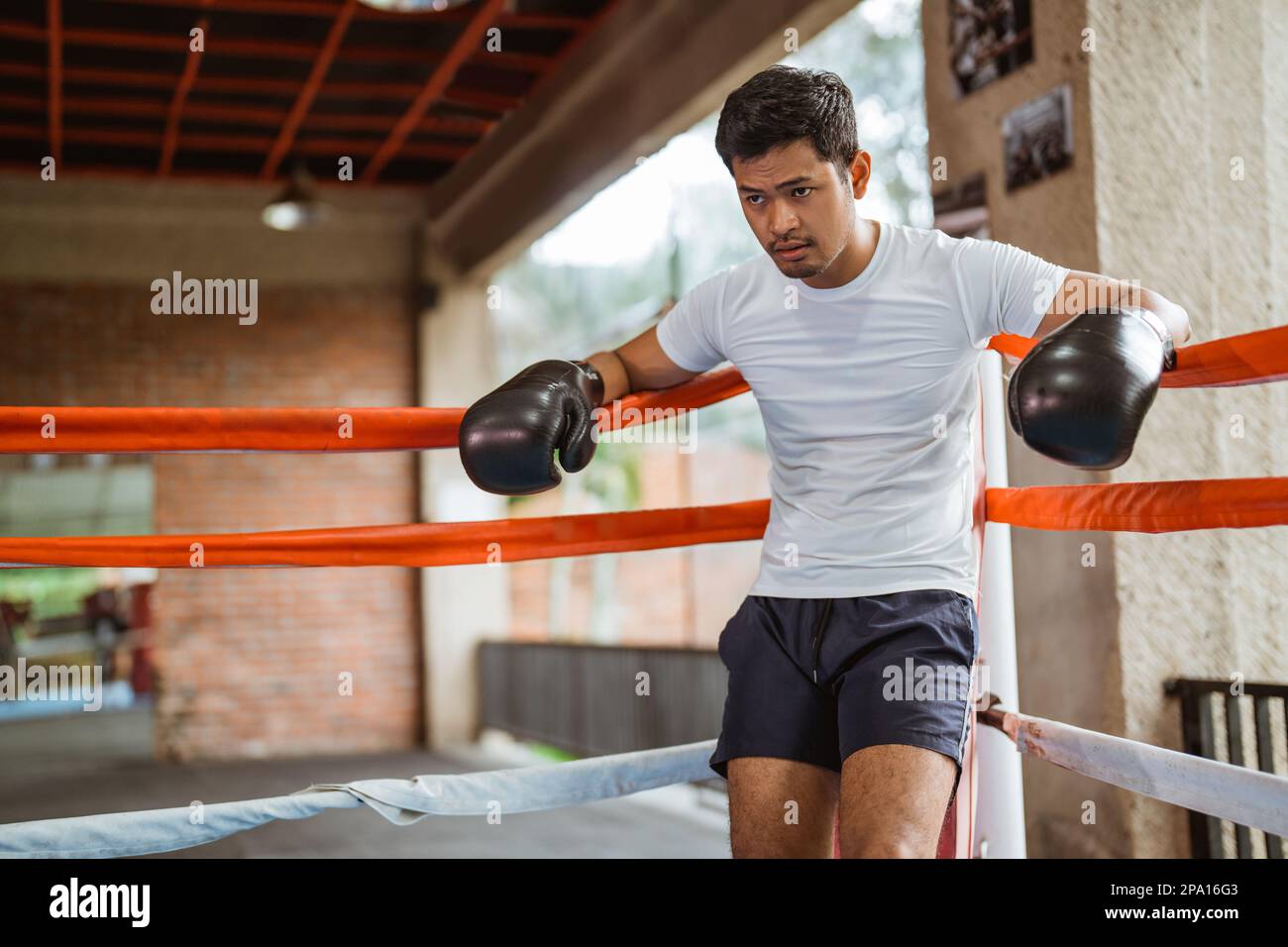 a male boxer standing leaning on the ropes Stock Photo - Alamy