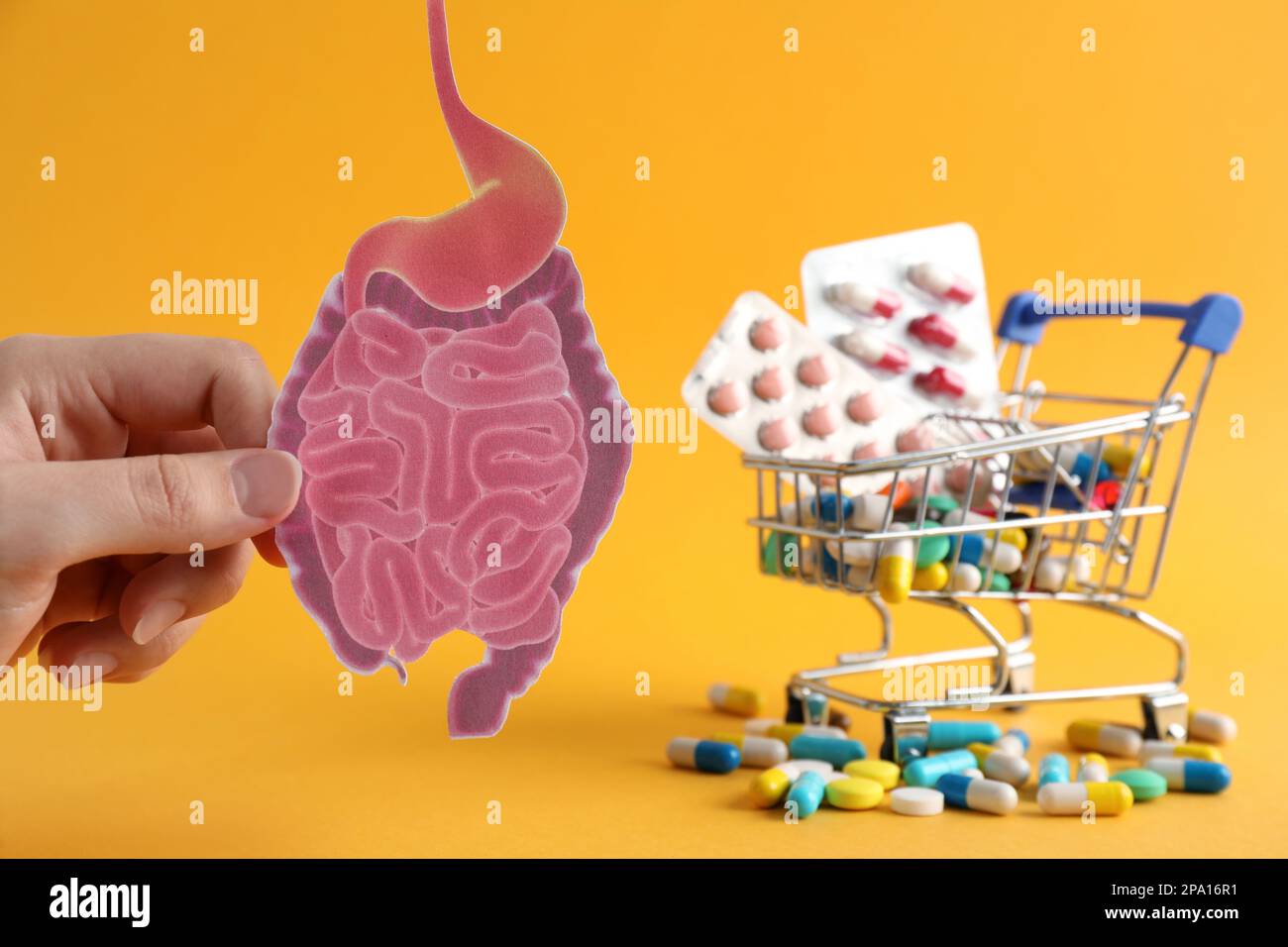 Female rectum hi-res stock photography and images - Alamy