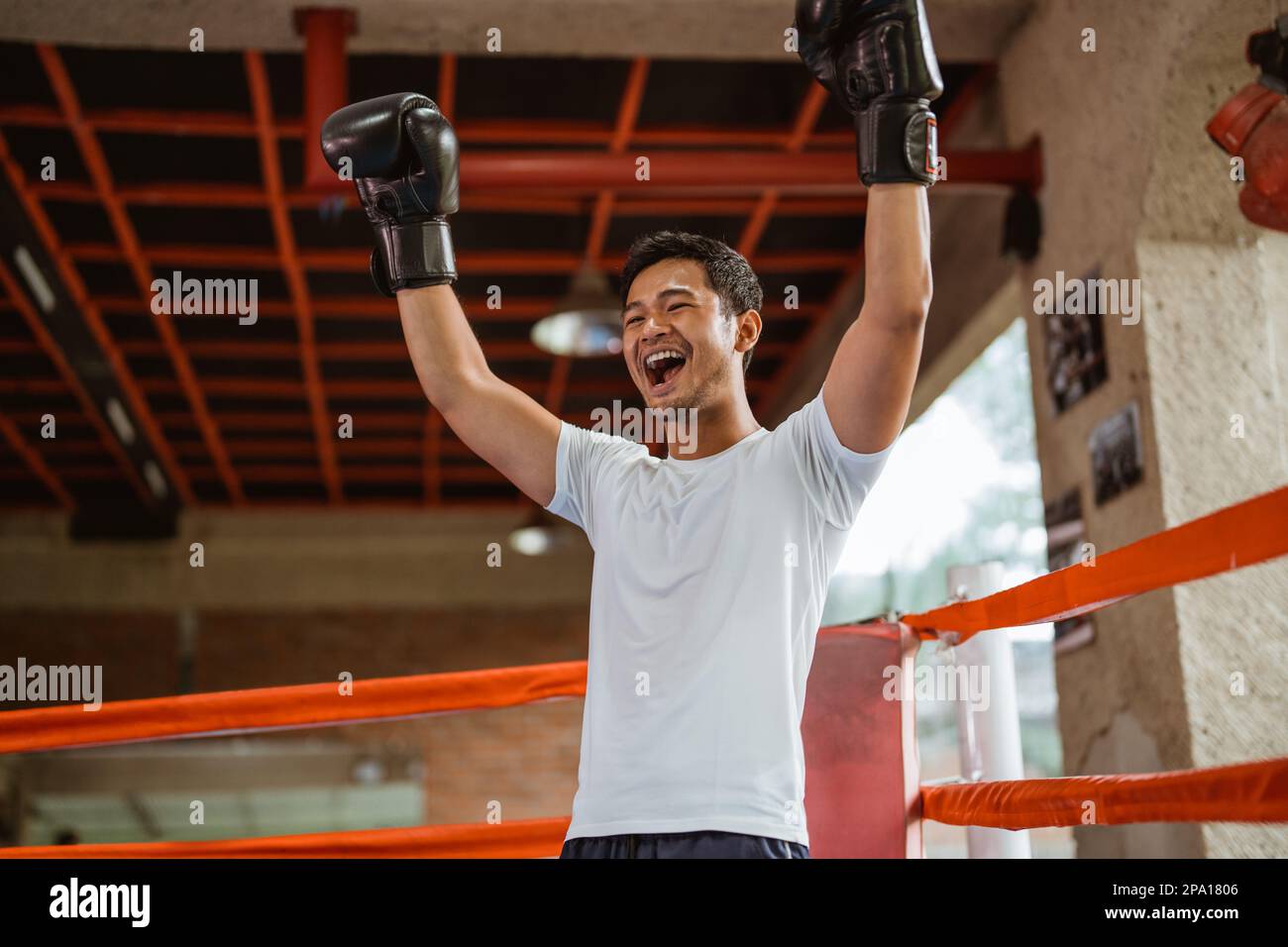 attractive boxer happily standing raising his hand Stock Photo - Alamy