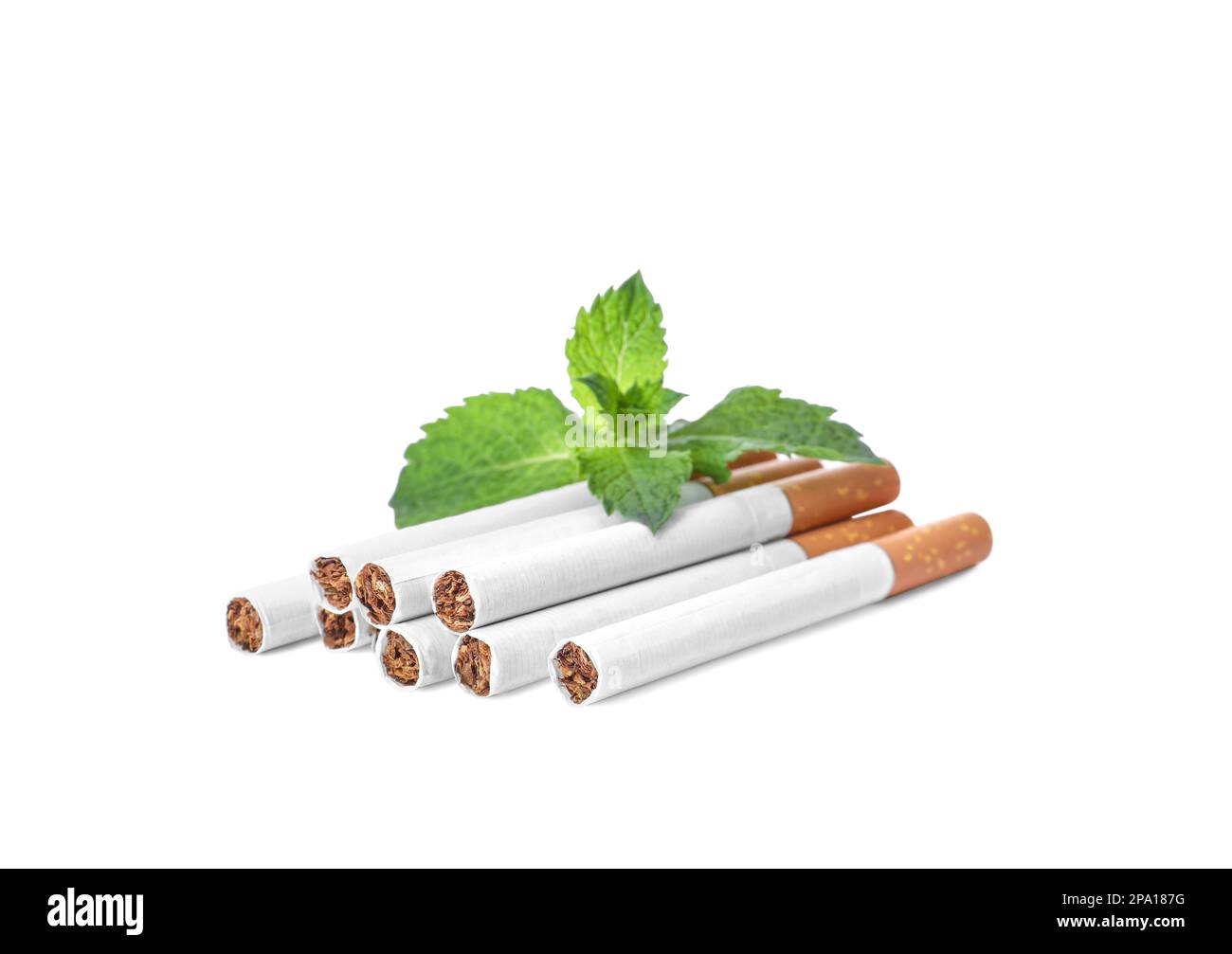 Menthol cigarettes and fresh mint leaves on white background Stock ...