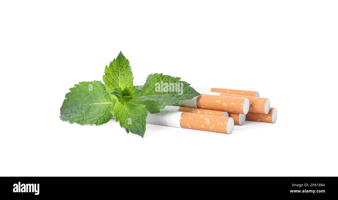 Menthol cigarettes and fresh mint leaves on white background Stock ...