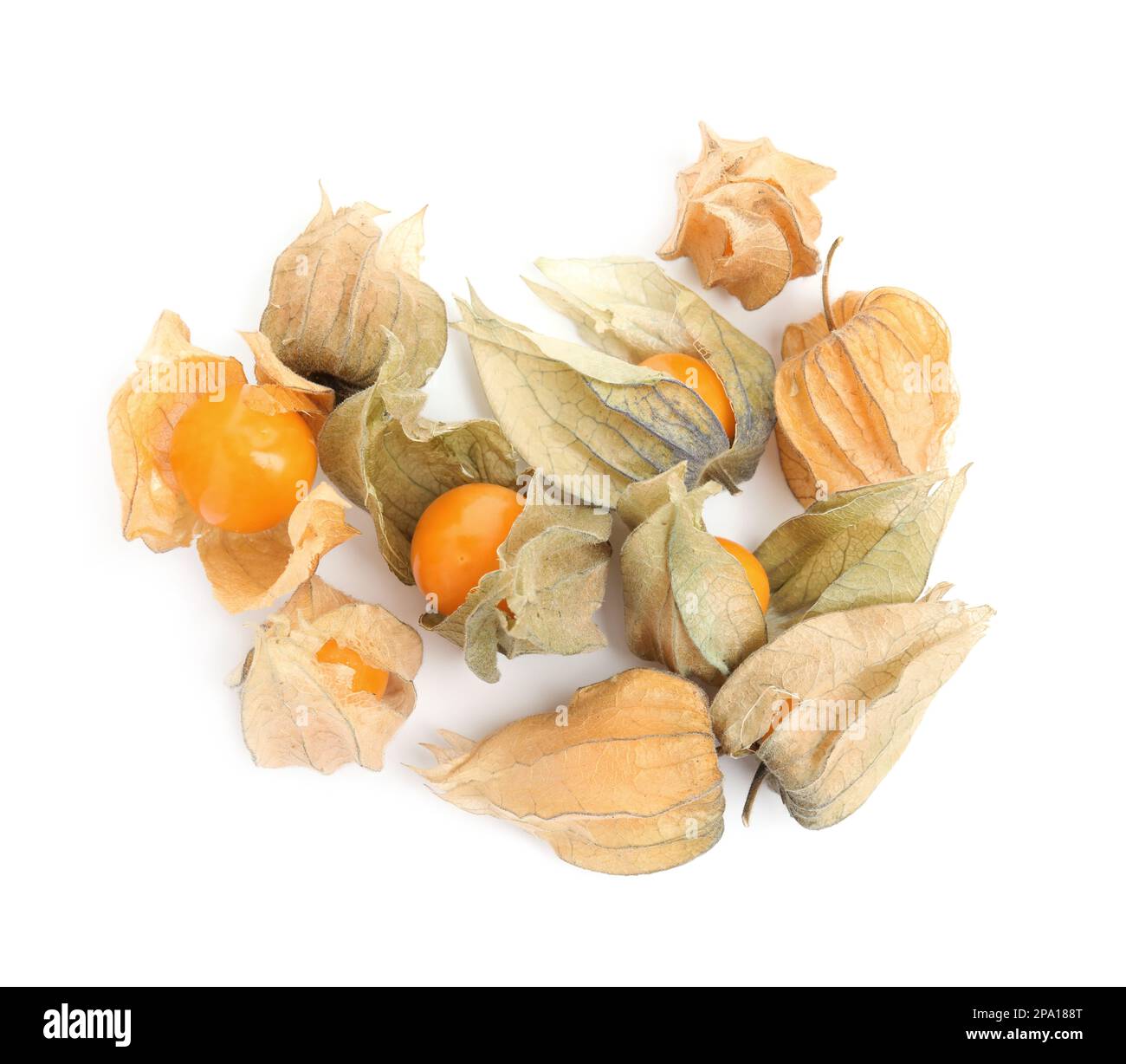 Ripe physalis fruits with dry husk on white background, top view Stock ...