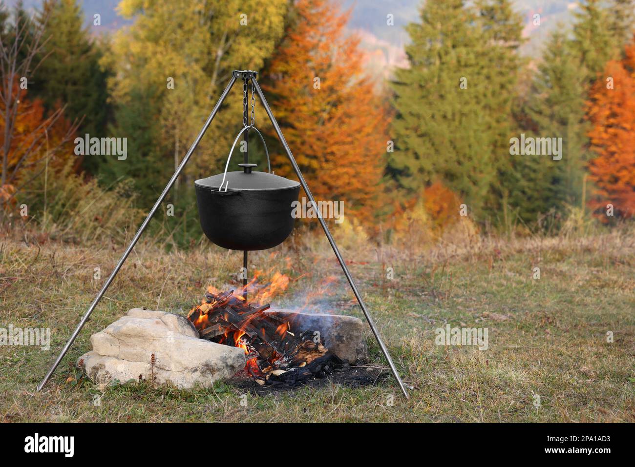 Cooking food on campfire near forest. Camping season Stock Photo - Alamy