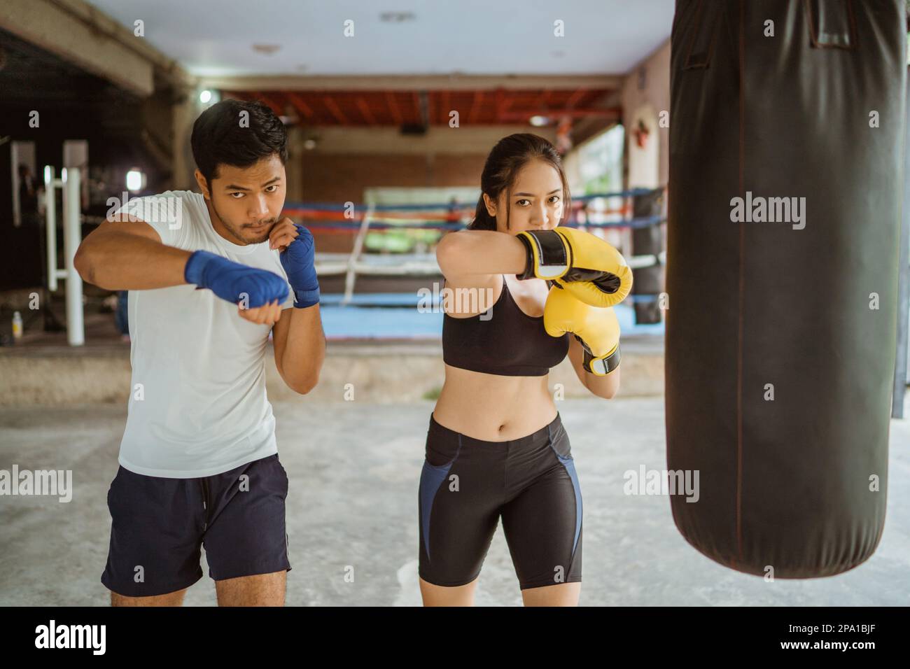 two attractive boxer standing with boxing moves Stock Photo - Alamy