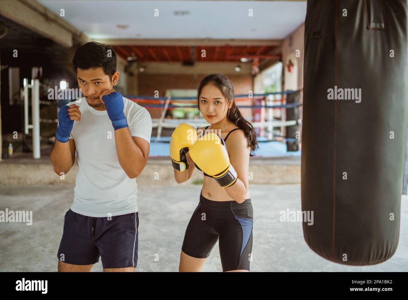 two attractive boxer standing with boxing moves Stock Photo - Alamy