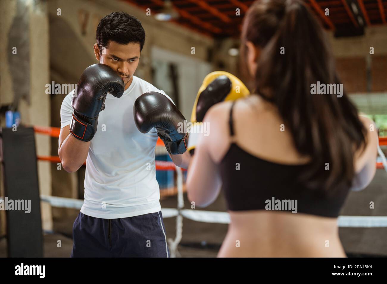 the male boxer fighting with the female boxer Stock Photo - Alamy