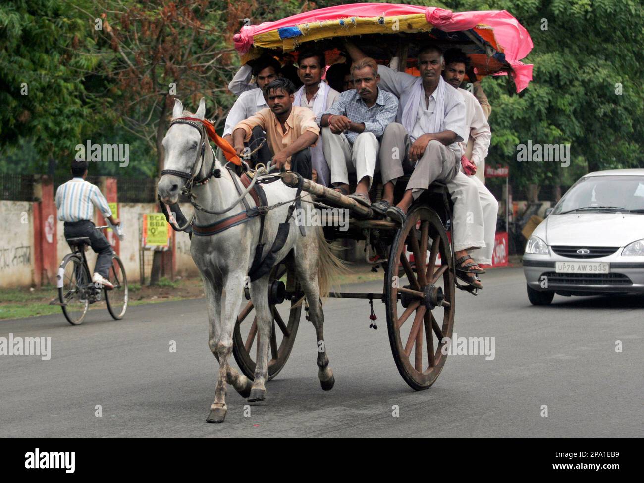 Locals travel to their villages in a horse drawn cart in Allahabad ...
