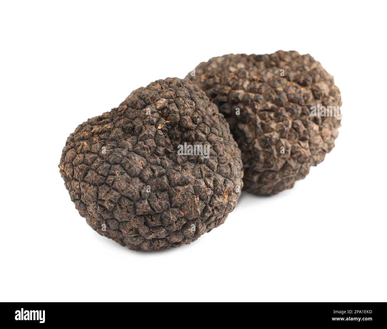Fresh whole black truffles isolated on white Stock Photo - Alamy