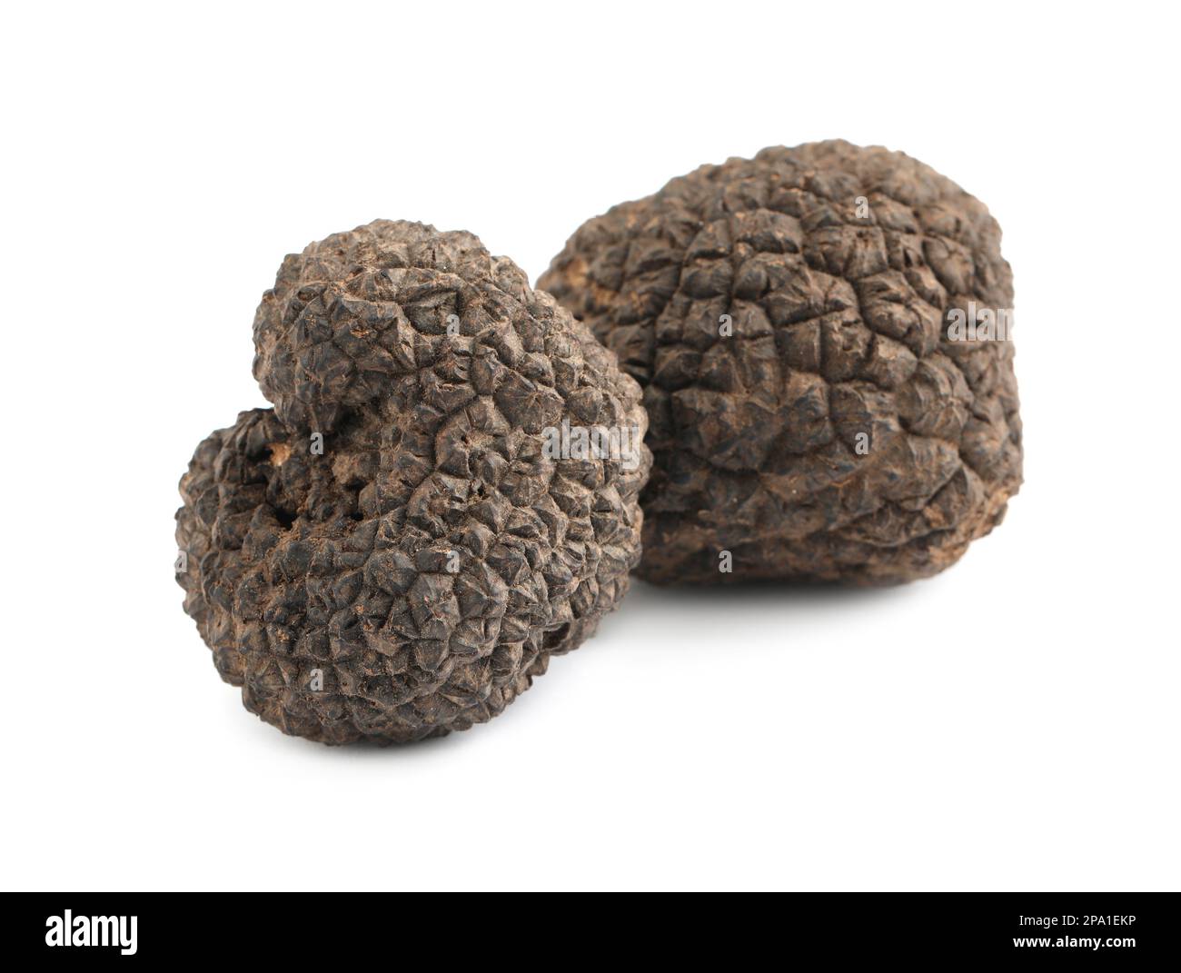 Fresh whole black truffles isolated on white Stock Photo - Alamy
