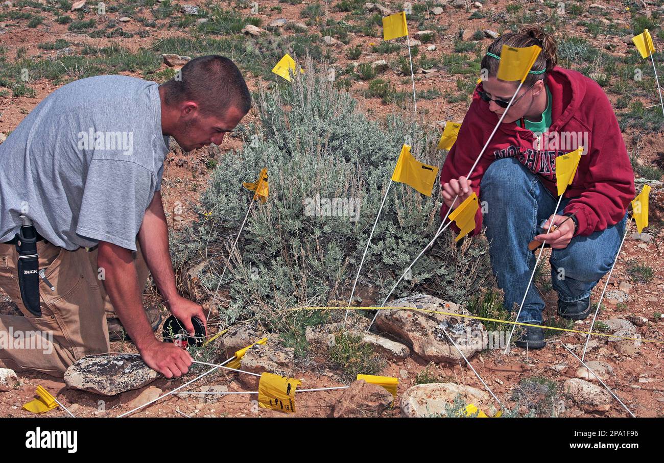 Kelton Wagner, left, and Kara Zeller map the size and shape of rocks in ...