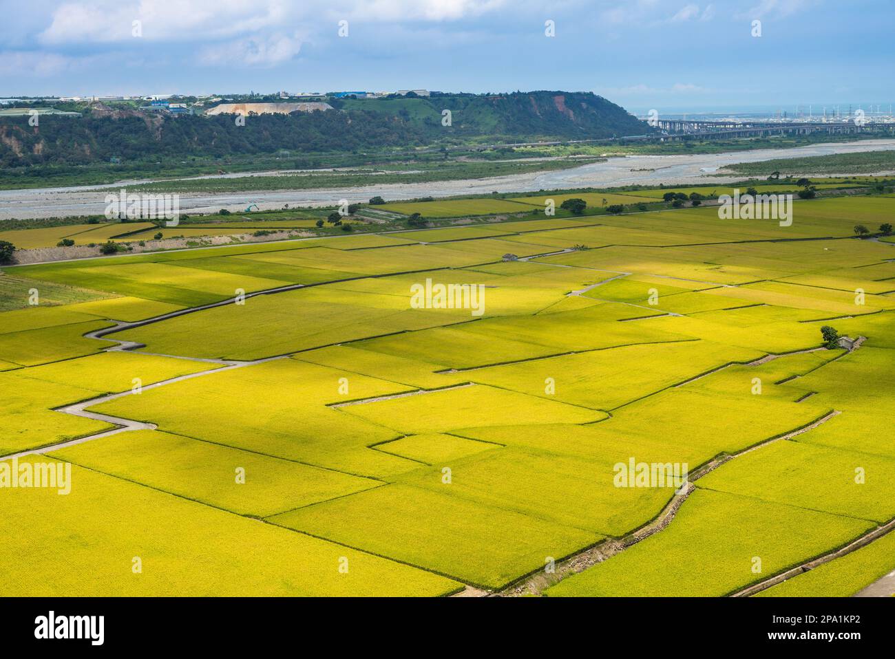 Rice field of Lotus valley in Waipu, taichung, taiwan Stock Photo - Alamy