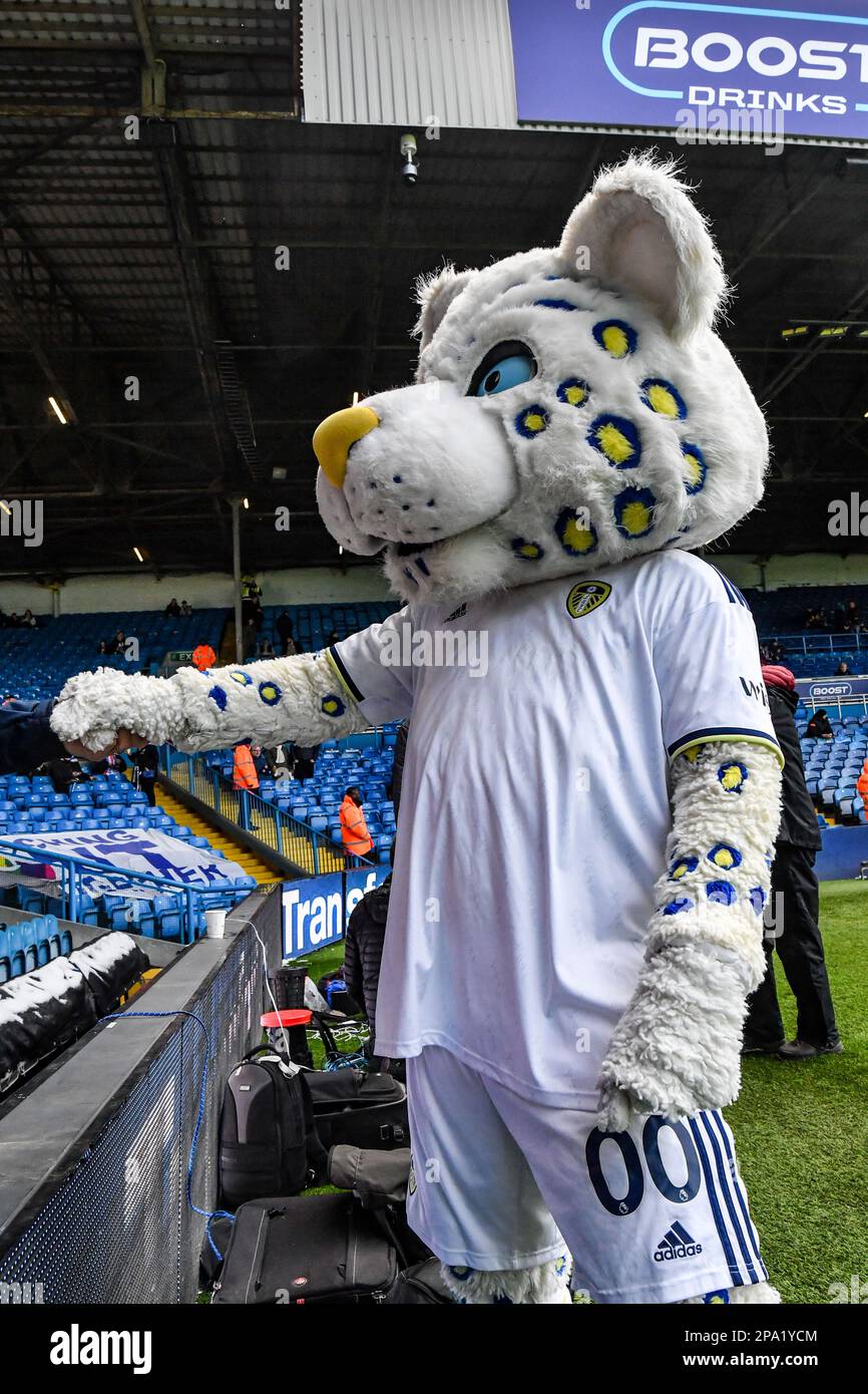 Brighton and hove albion mascot hi-res stock photography and images - Alamy