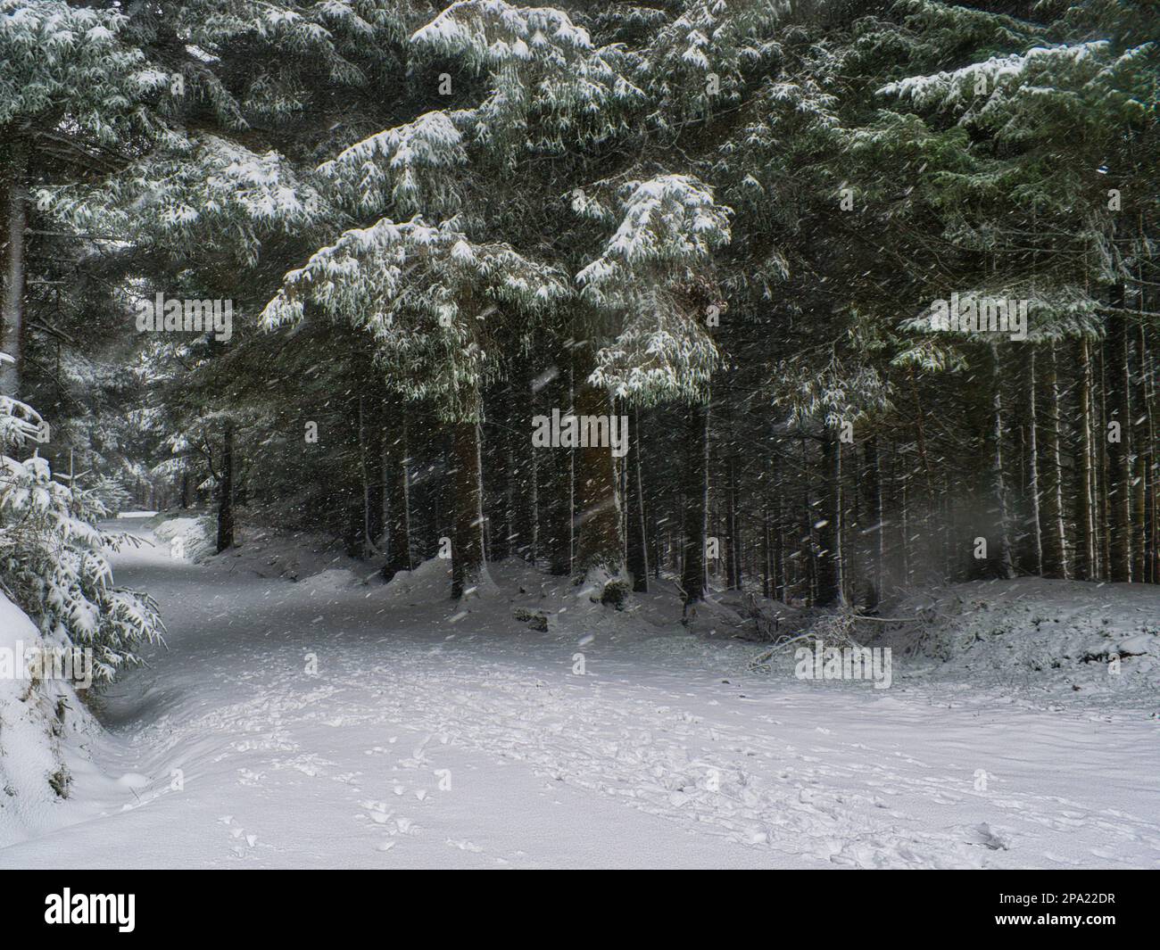 Snowy march hi-res stock photography and images - Alamy