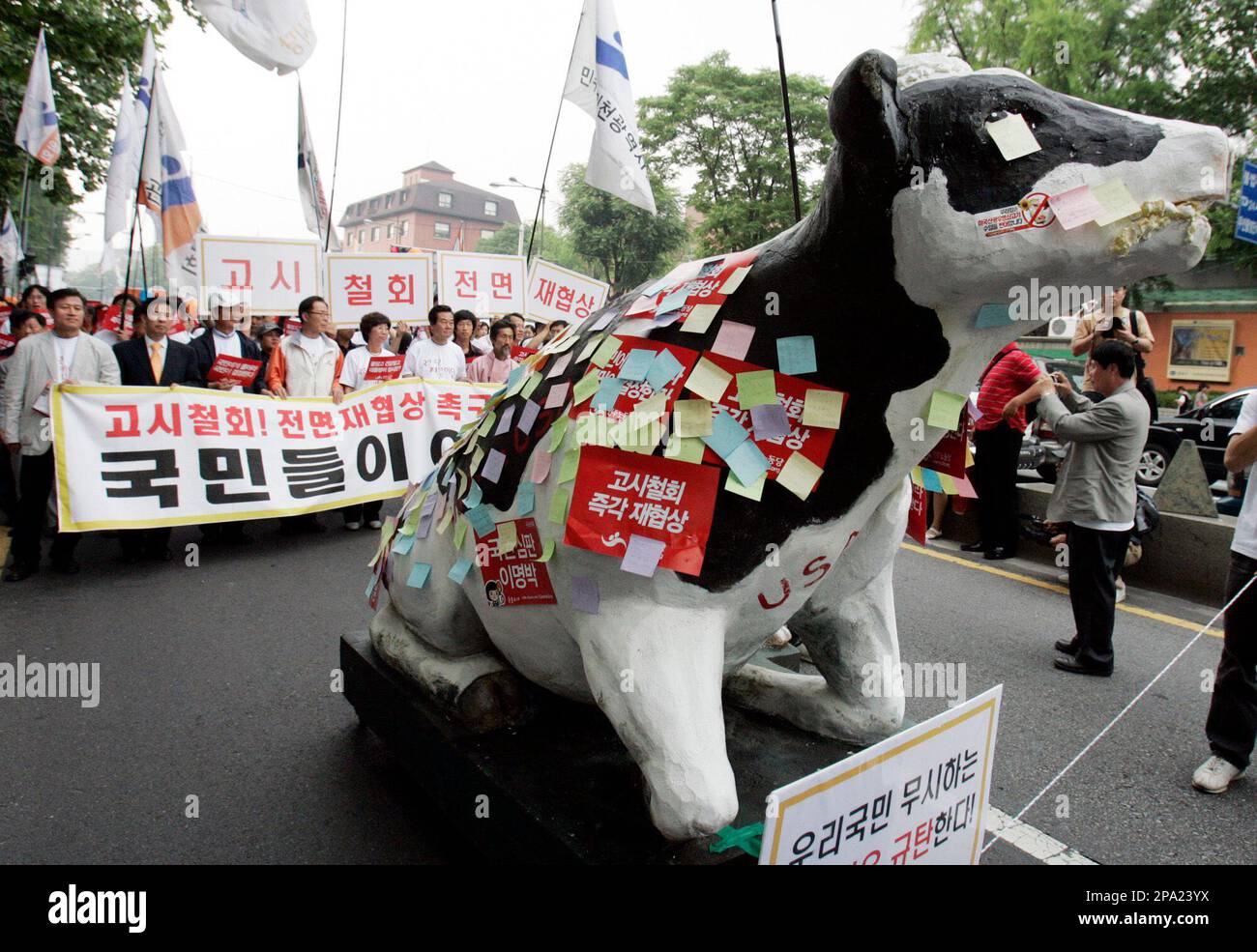 South Korean protesters march with a mock US cow while protesting U.S ...