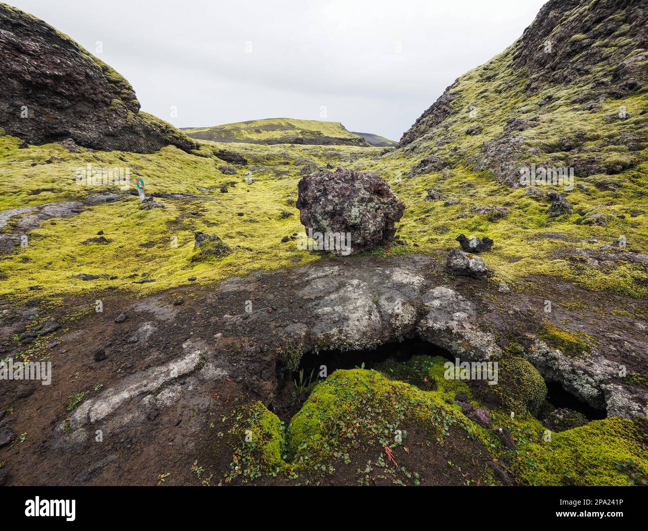 Fissure after volcanic eruption, moss-covered volcanic landscape, Laki ...