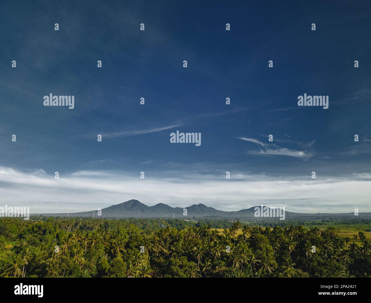 Rice Terrace and volcano in background, Ubud, Bali, Indonesia. Top view ...