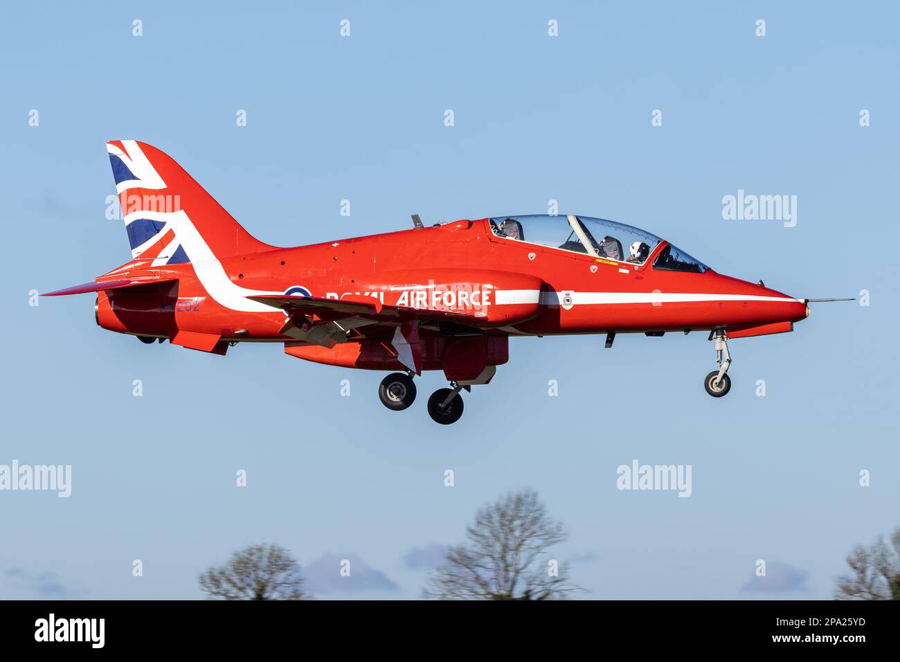Hawk cobra hi-res stock photography and images - Alamy