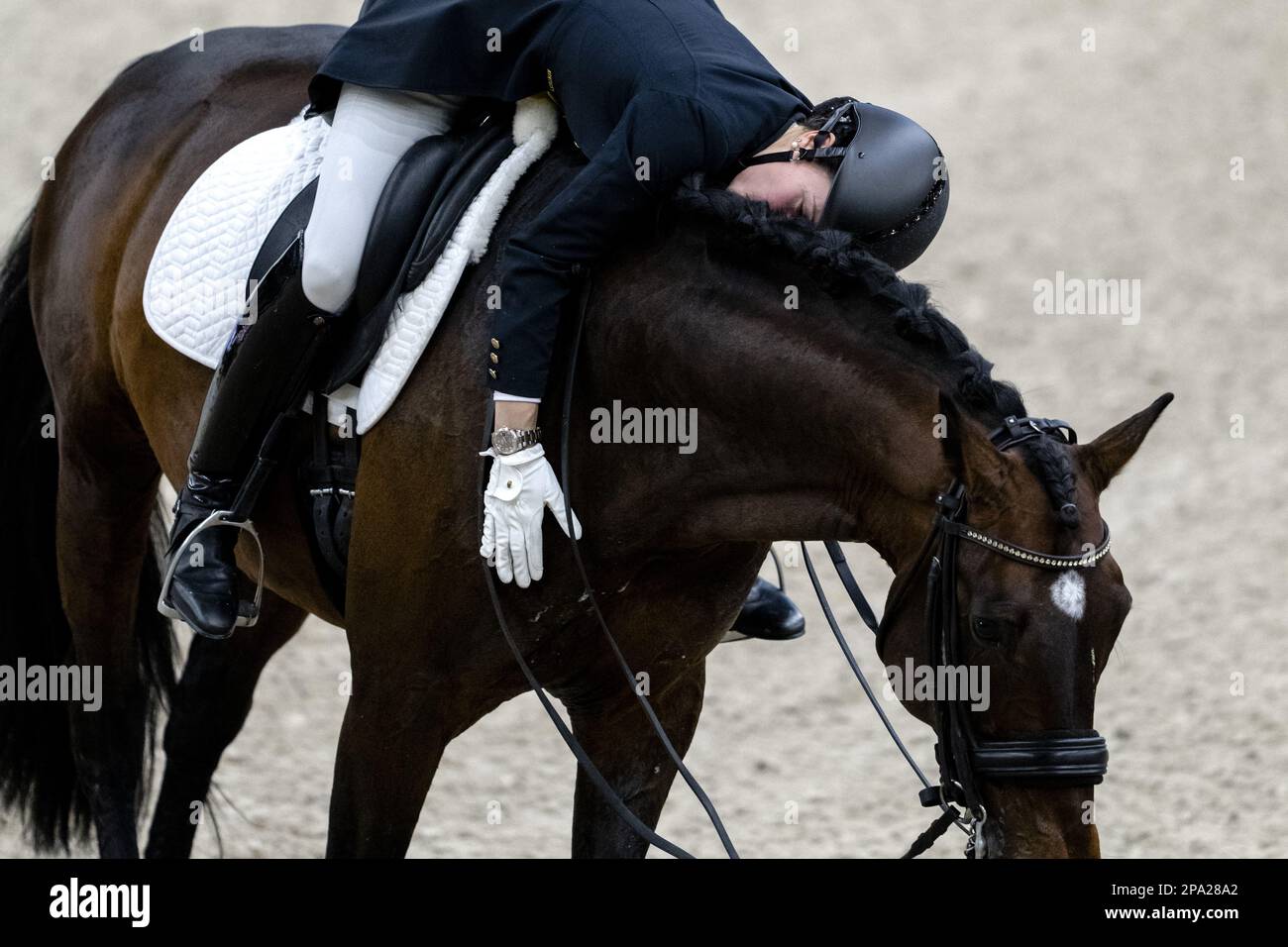 DEN BOSCH - Timna Valenta-Zach (AUT) on Farant in action at the ...