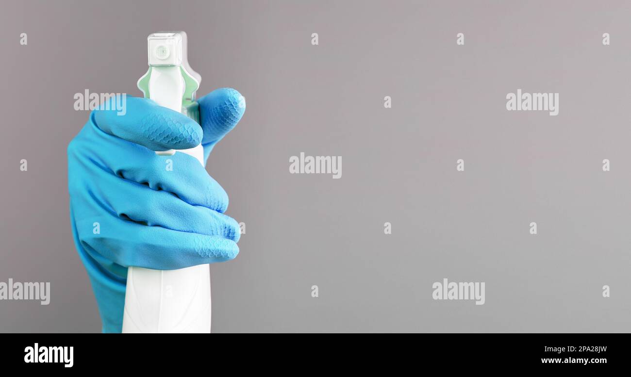 Hand in blue glove cleaning, holding spray plastic bottle, sprayer with ...