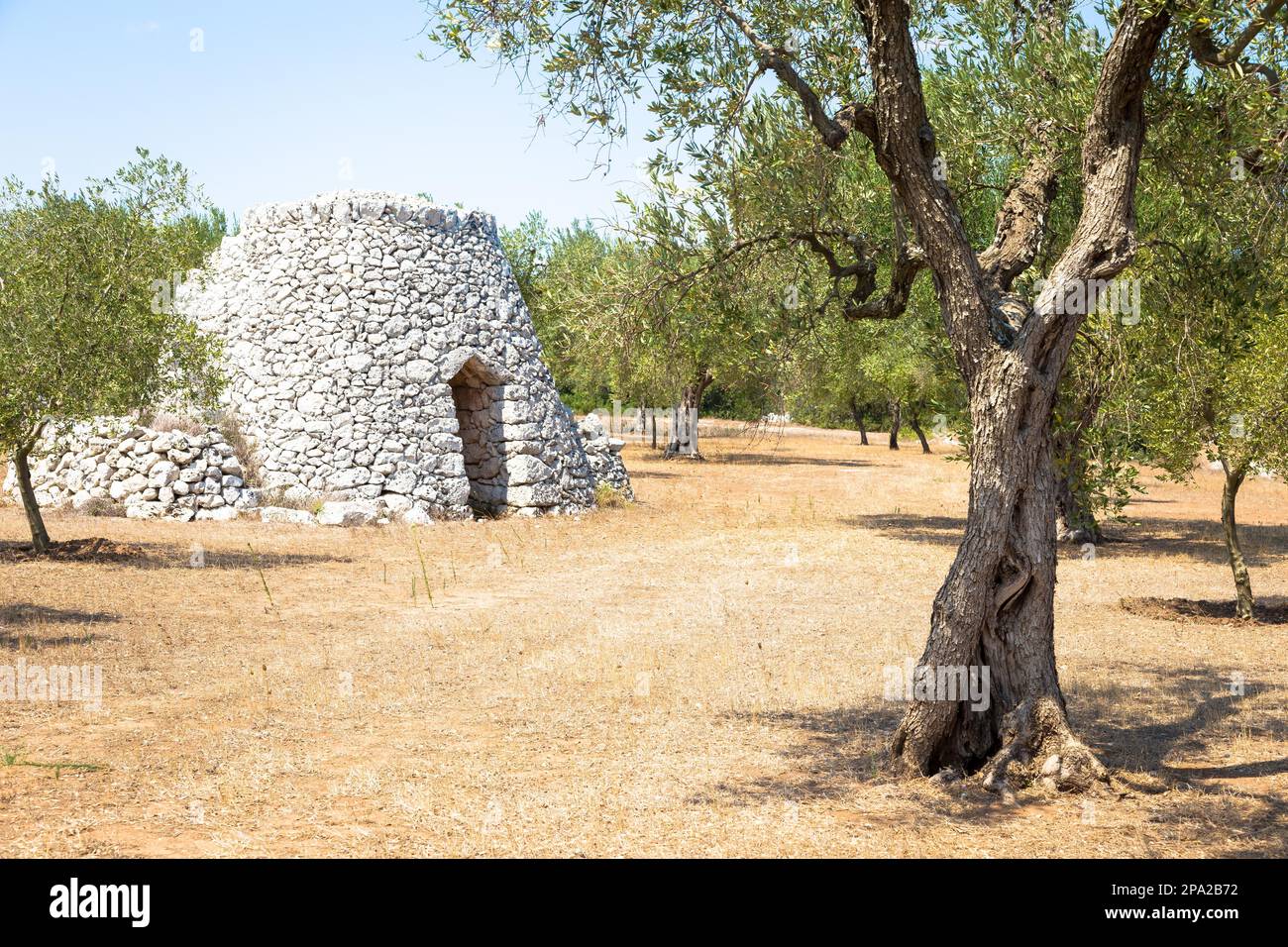In Salento area, south of Italy, a traditional rural warehouse named ...