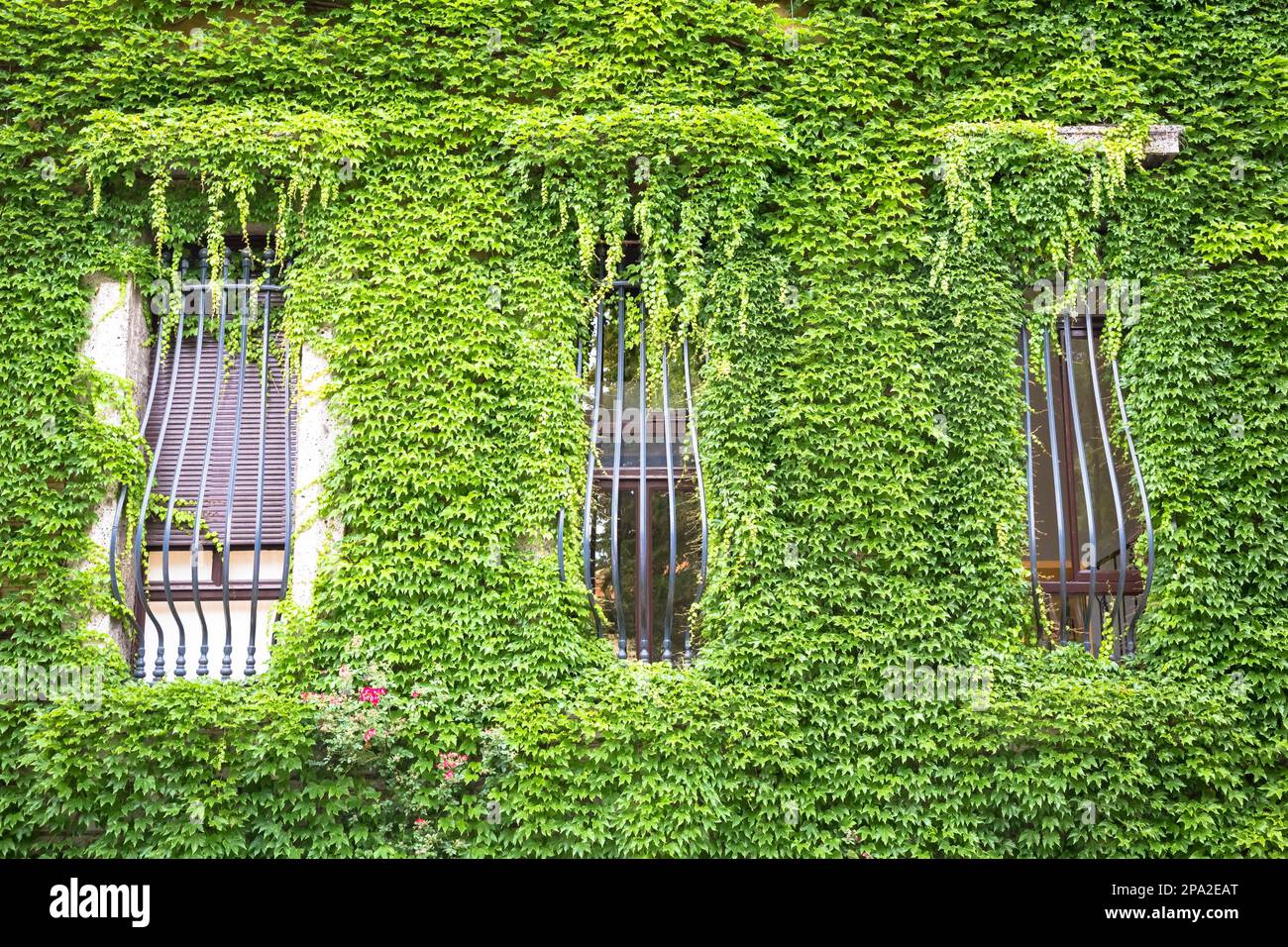 Integration of nature and real estate on this old Italian building ...