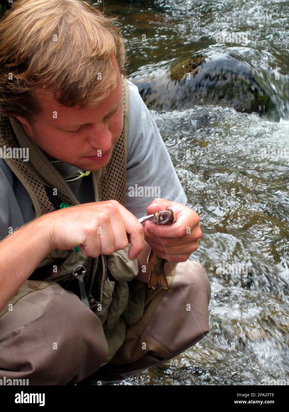 Henry Jones, a fly fishing guide, removes a hook from a brook trout on ...
