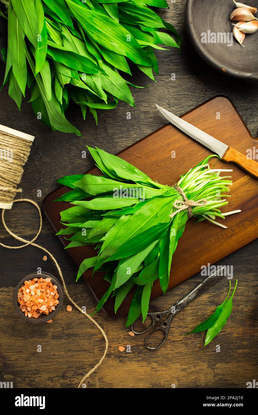 Bunch of Ramson or bear leek (Allium ursinum) with pink Himalayan salt ...