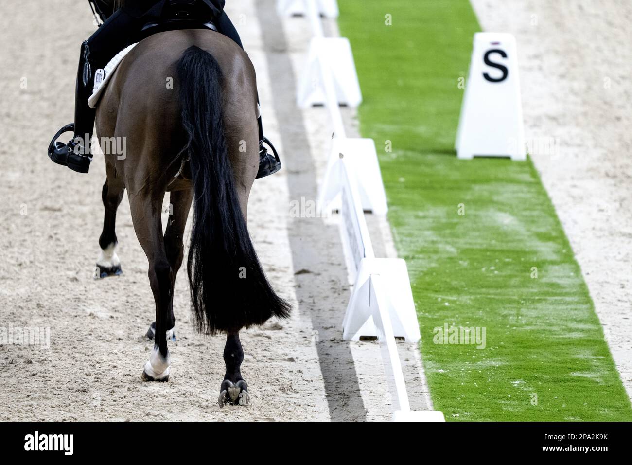 DEN BOSCH - Pauline Basquin (FRA) on Sertorius de Rima Z IFCE in action ...