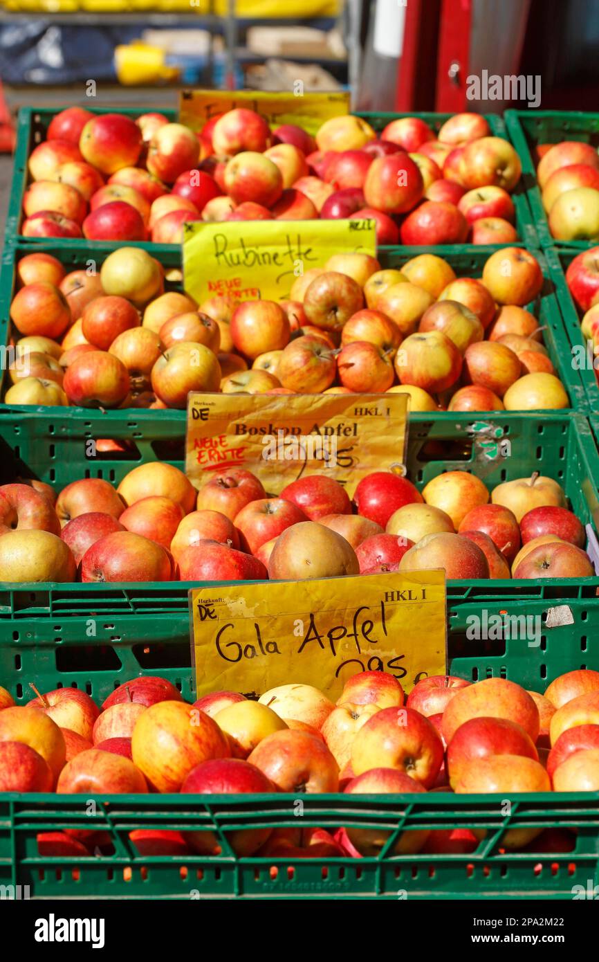 Apples with price tags at a market stall, Germany Stock Photo - Alamy