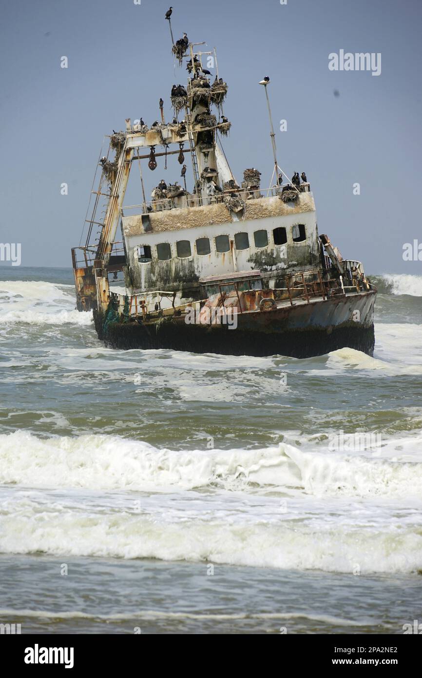 Stranded fishing trawler Zeila at Henties Bay, White breasted Cormorant ...