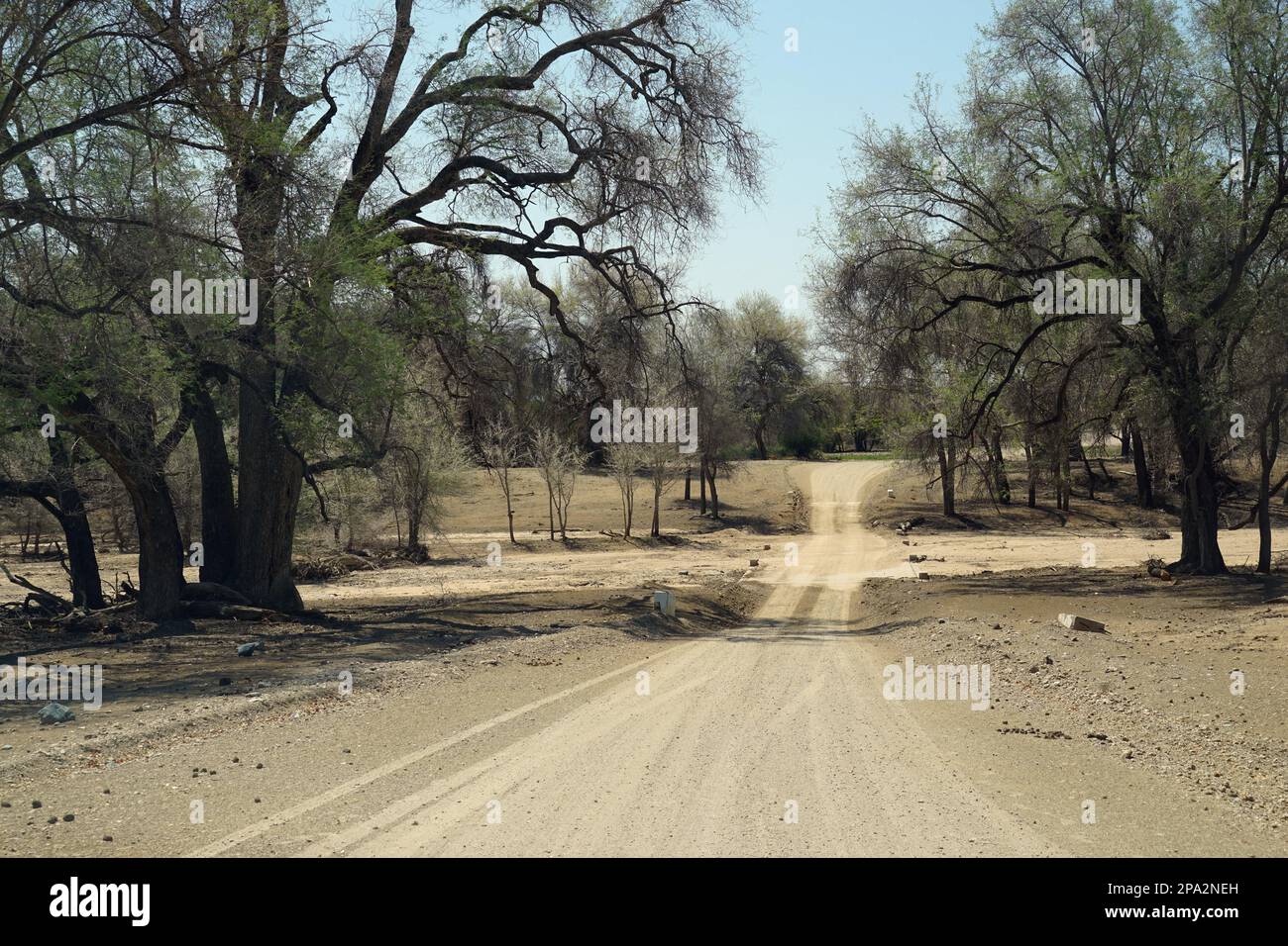 Ugab river valley hi-res stock photography and images - Alamy