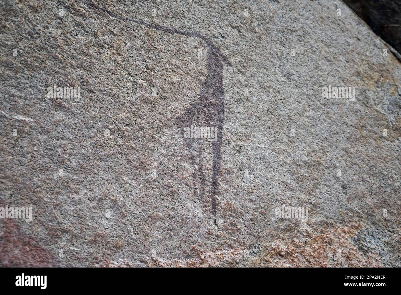 Rock rock painting, Phillipp's Cave, Cave of the San, Ameib Ranch ...
