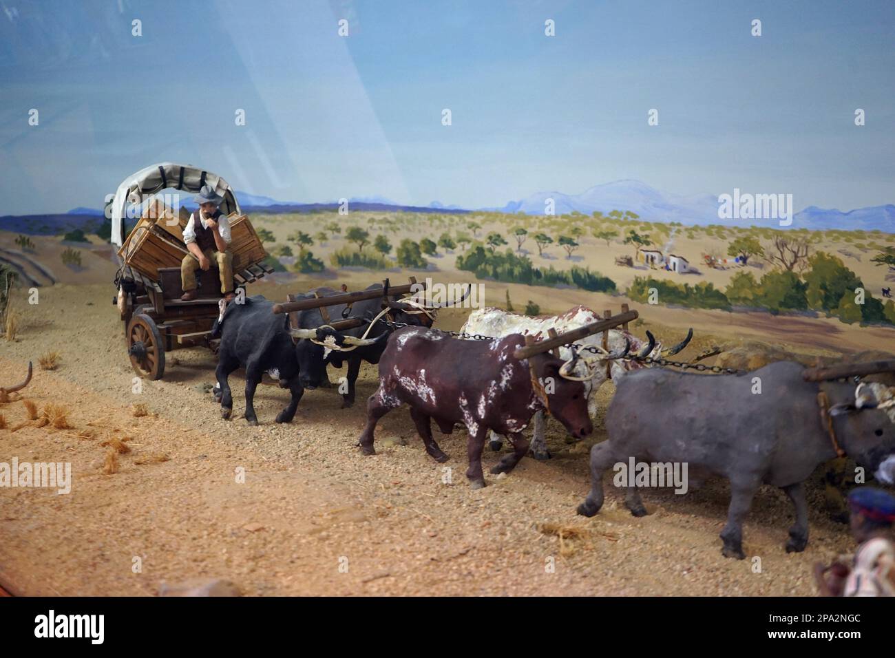 Model of an ox cart, Swakopmund Museum, Swakopmund, Republic of Namibia ...