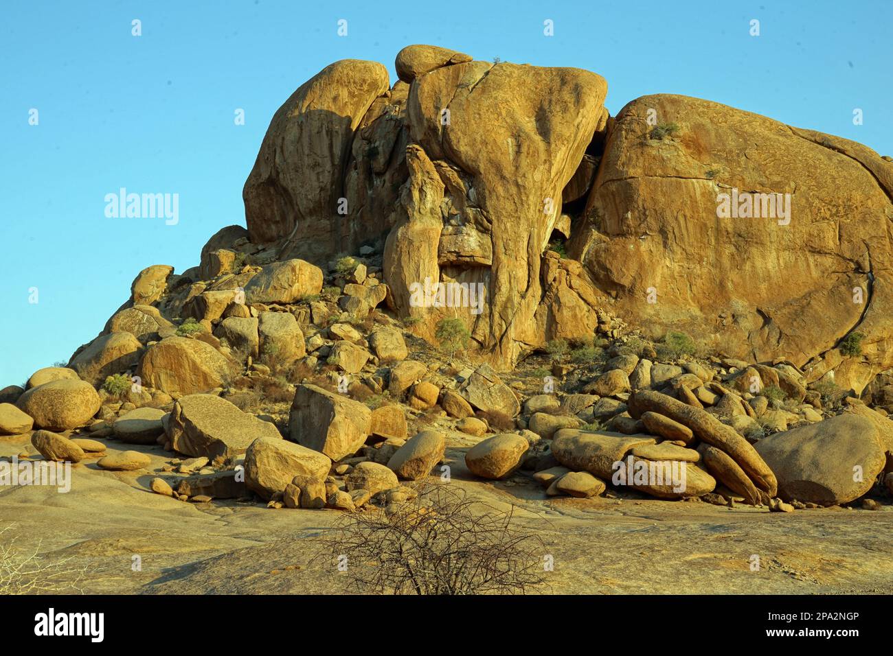 Elephant mountains hi-res stock photography and images - Alamy