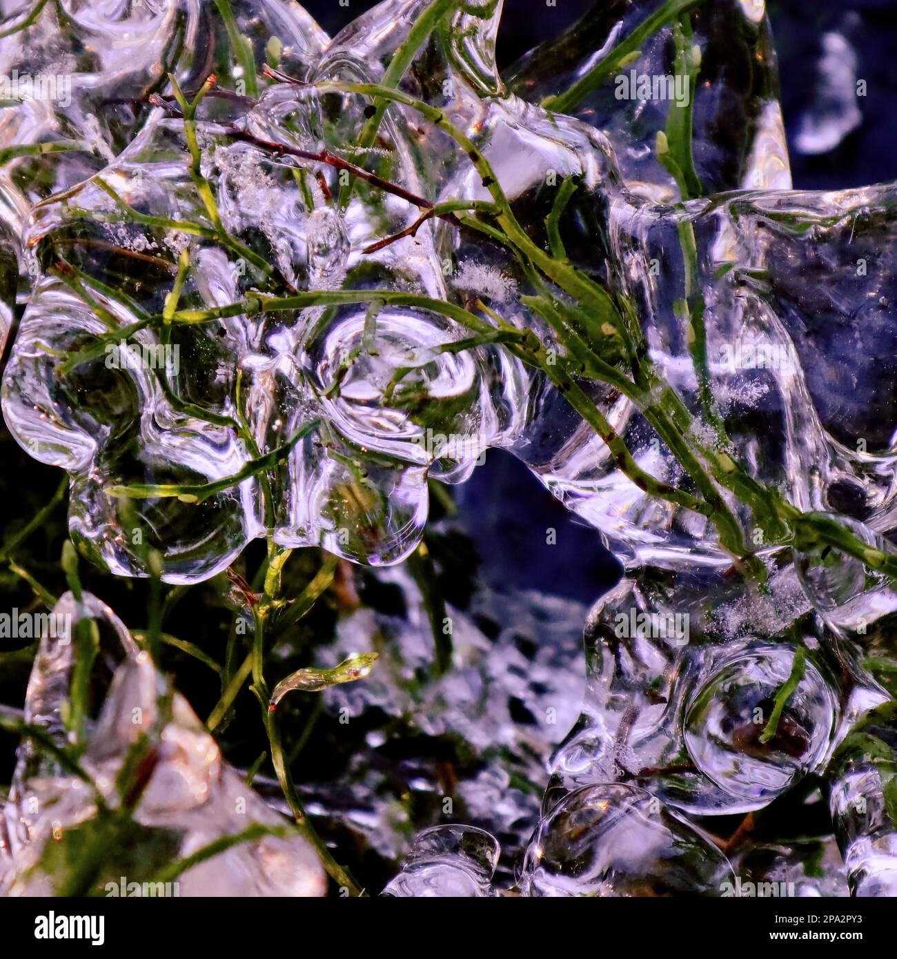 Ice floor hi-res stock photography and images - Alamy