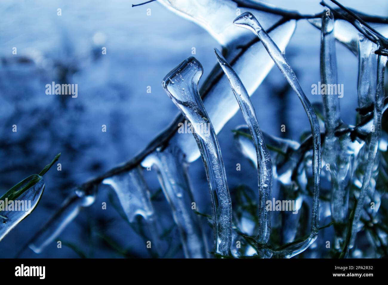 Ice floor hi-res stock photography and images - Alamy
